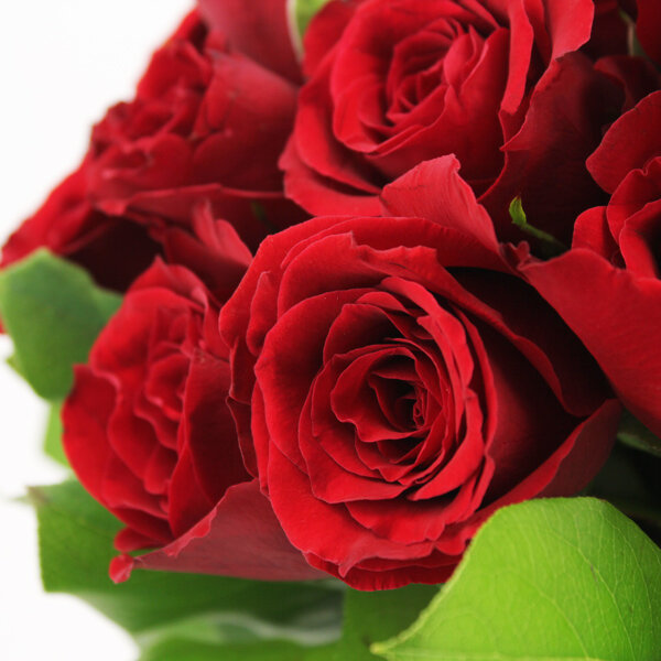 Bouquet de 15 Roses Rouges - Livraison en Express | Florajet