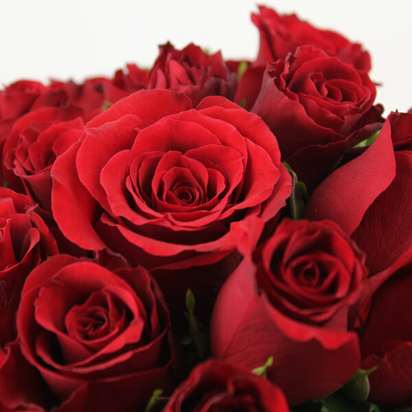 Bouquet de 30 Roses Rouges - Livraison en Express | Florajet