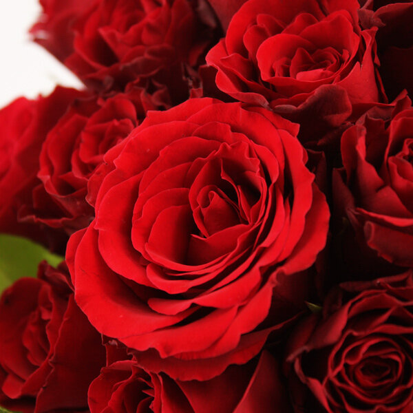 Bouquet de 50 Roses Rouges - Livraison en Express | Florajet