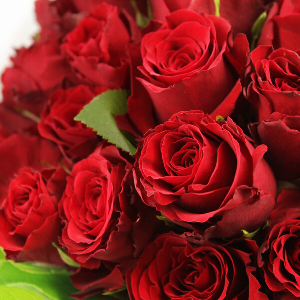 Bouquet de 60 Roses Rouges - Livraison en Express | Florajet