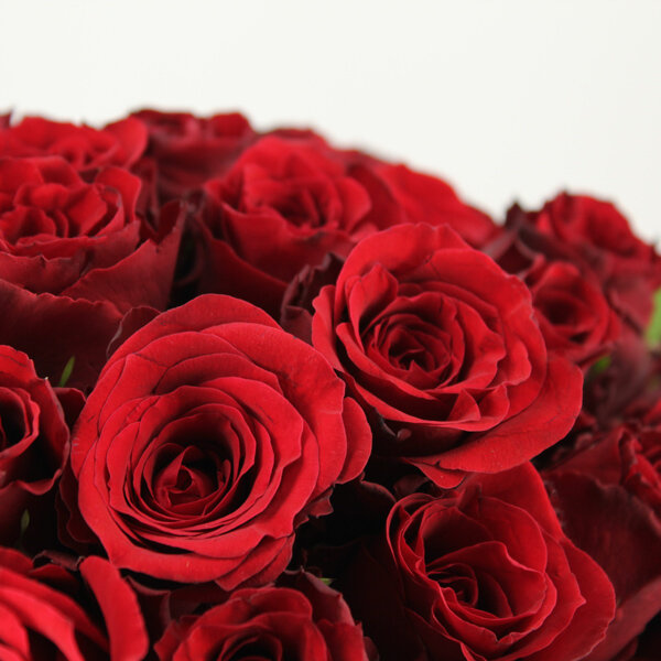 Bouquet de 100 roses rouges - Livraison Express